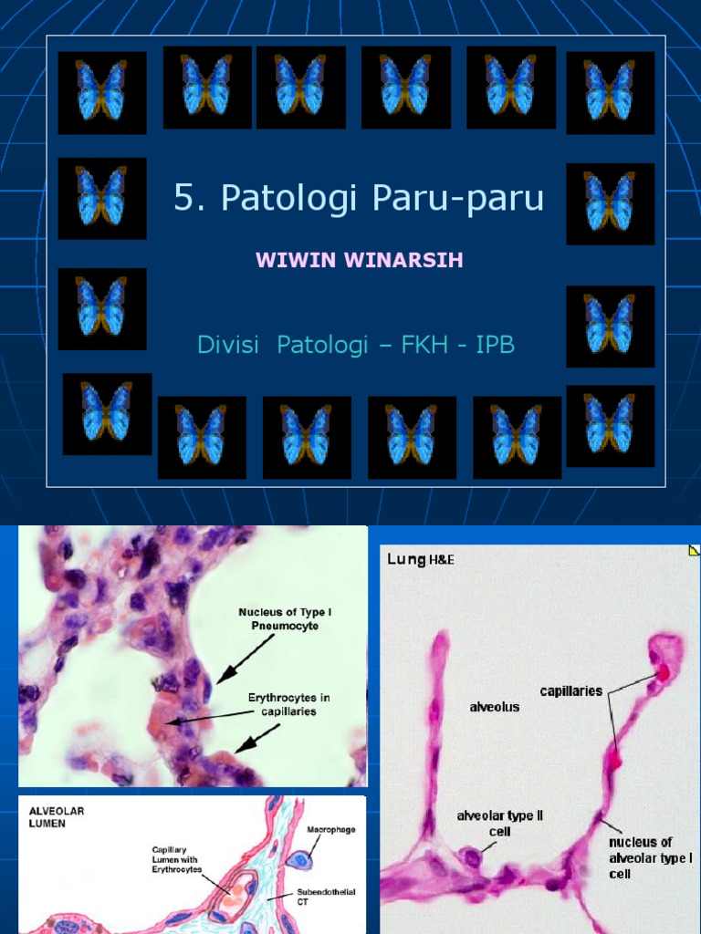5.respirasi Paru Paru | PDF