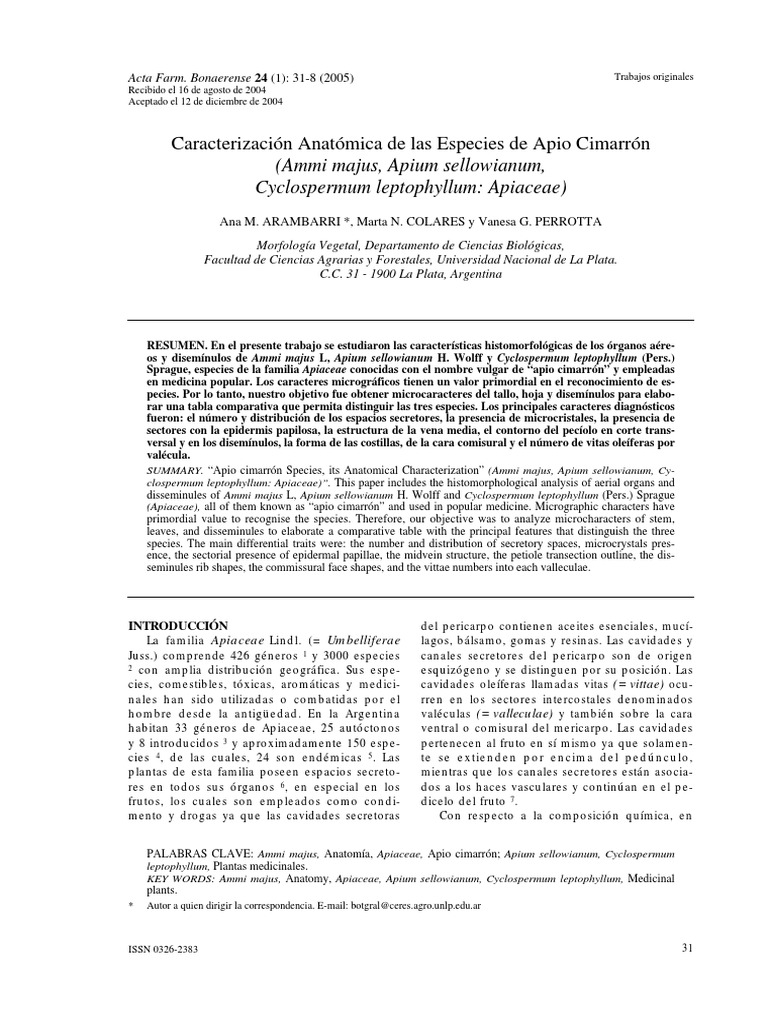Anatomía del Apio Cimarrón en Apiaceae | PDF | Hoja | Tallo de la planta
