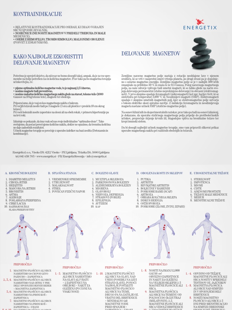 Delovanje Magnetov | PDF