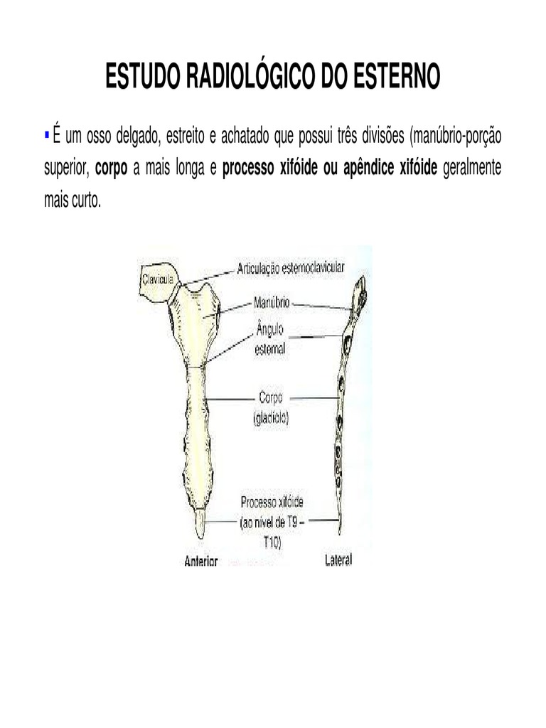 9 - Esterno e Articulação Esternoclavicular. | PDF | Coluna vertebral ...