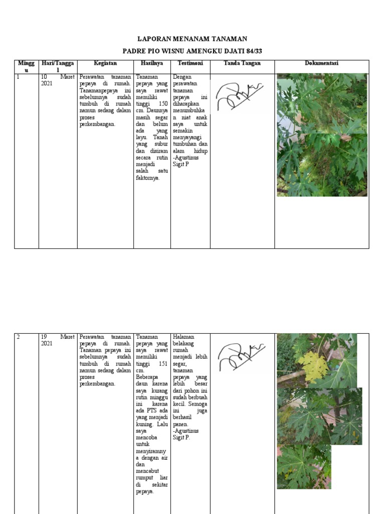 Laporan Menanam Tanaman | PDF