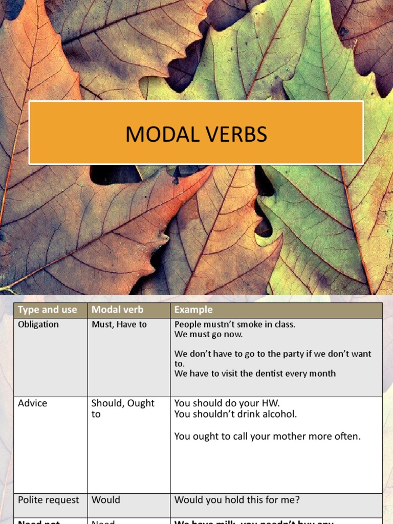 Modal Verbs | PDF | Cognitive Science | Grammar