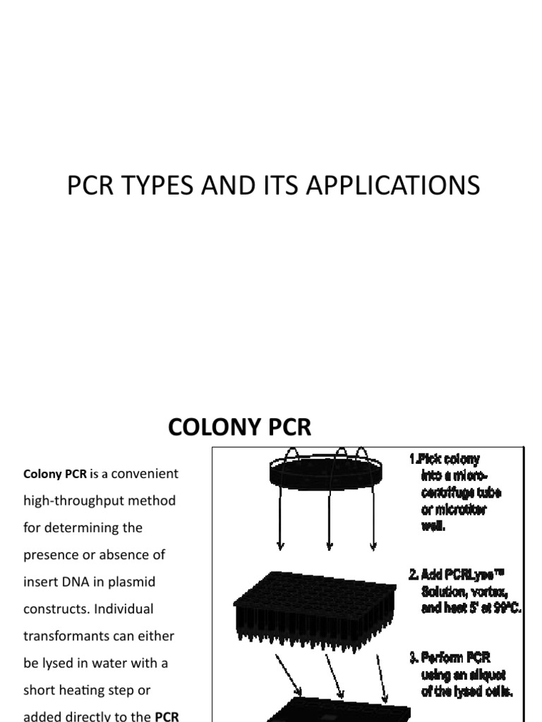 PCR Types and Its Applications | PDF | Polymerase Chain Reaction | Real ...