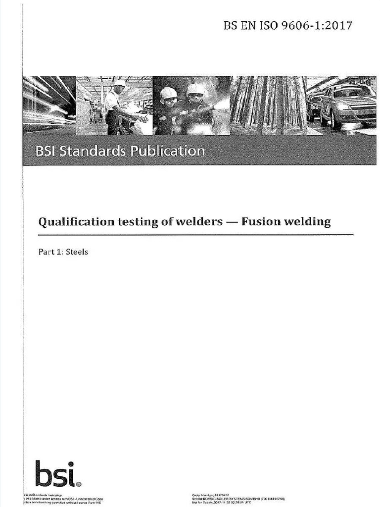 PDF Bs en Iso 9606-1-2017pdf DD | PDF