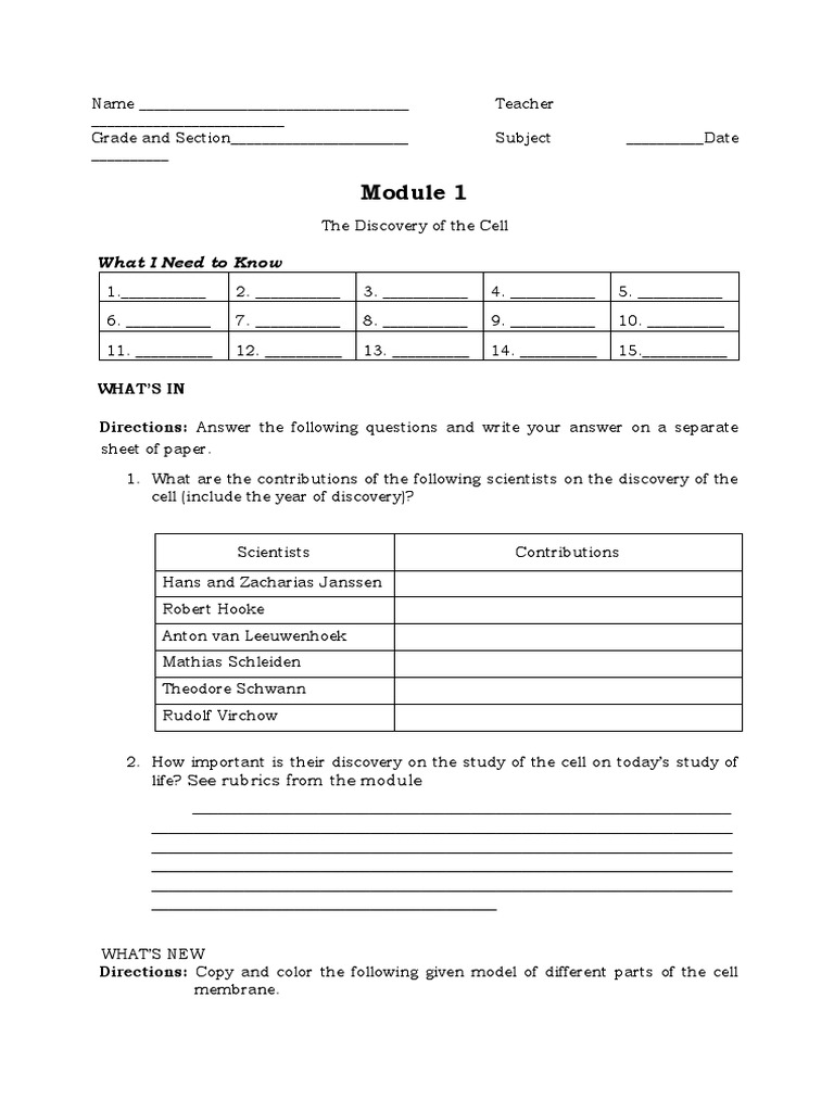Activity Sheet 2the Basic Unit of Life. | PDF | Cell (Biology ...