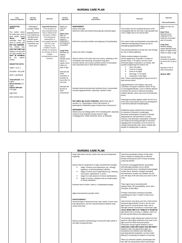 Nursing Care Plan: Hyperbilirubinemia | PDF | Breastfeeding | Infants