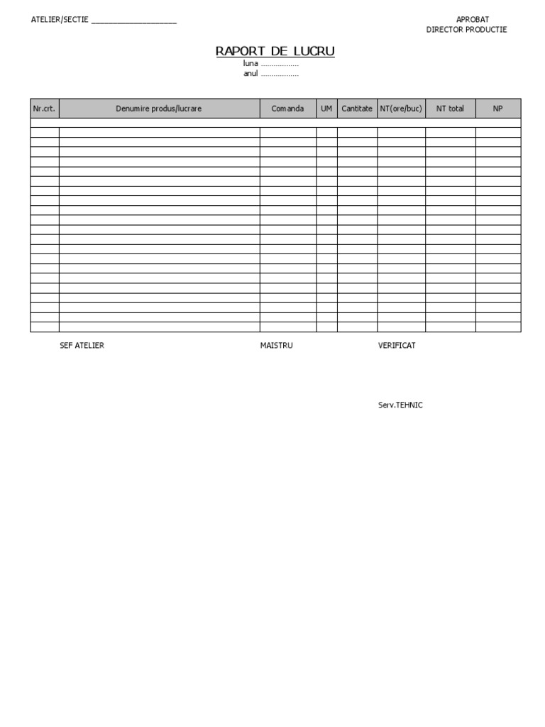 Raport de lucru