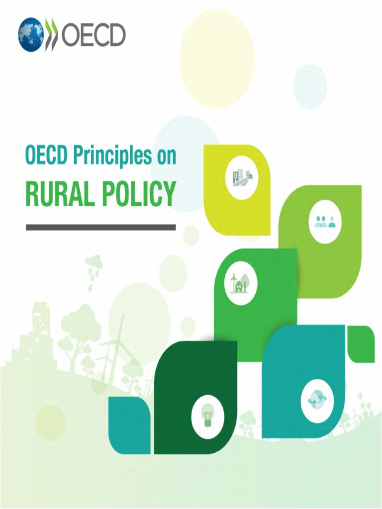 Rural Principles | PDF | Sustainability | International Energy Agency