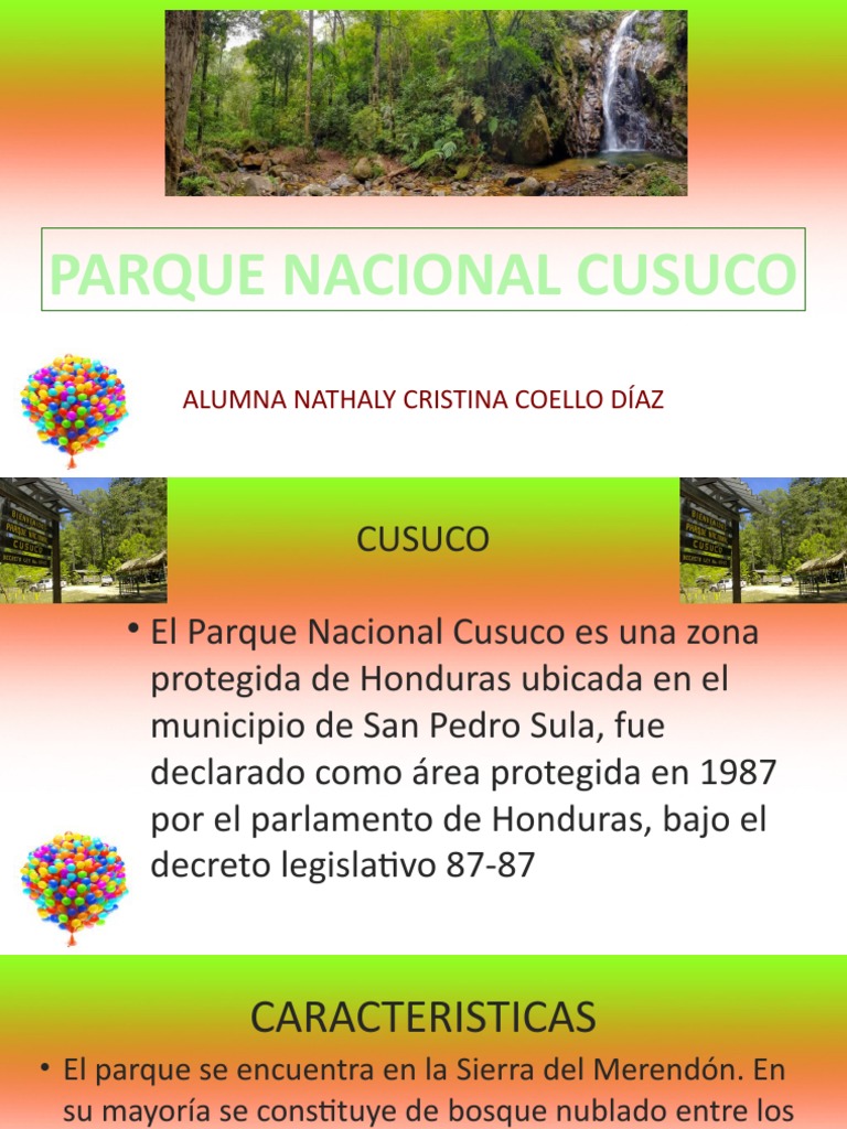 El Parque Nacional Cusuco: Un santuario de biodiversidad en la Sierra ...