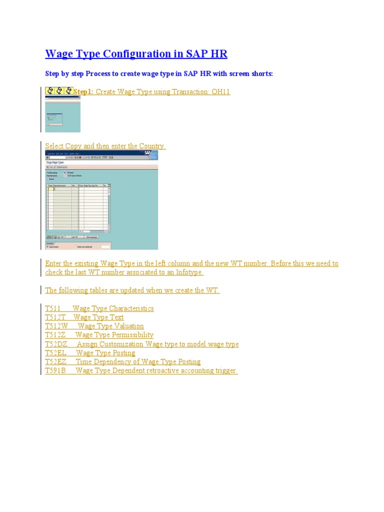 SAP HR Wage Type Configuration Guide | PDF | Business | Finance & Money ...