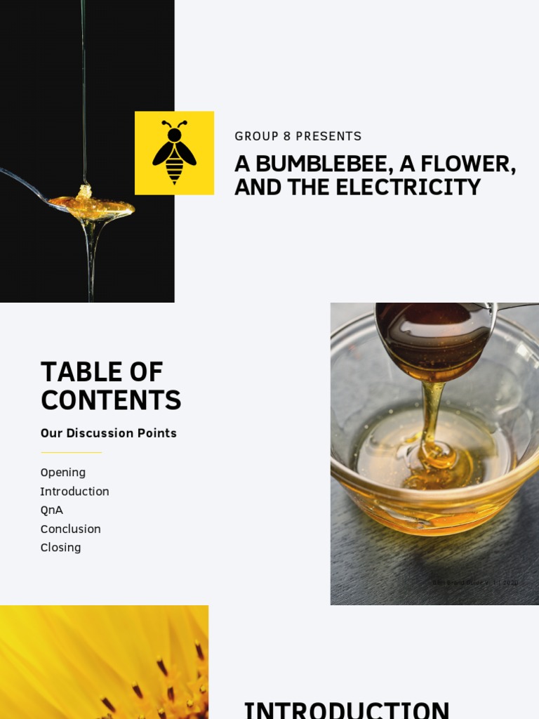 Group 8 Presents: A Bumblebee, A Flower, and The Electricity | PDF ...