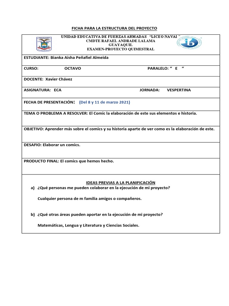 Estructura Del Proyecto de Eca | PDF