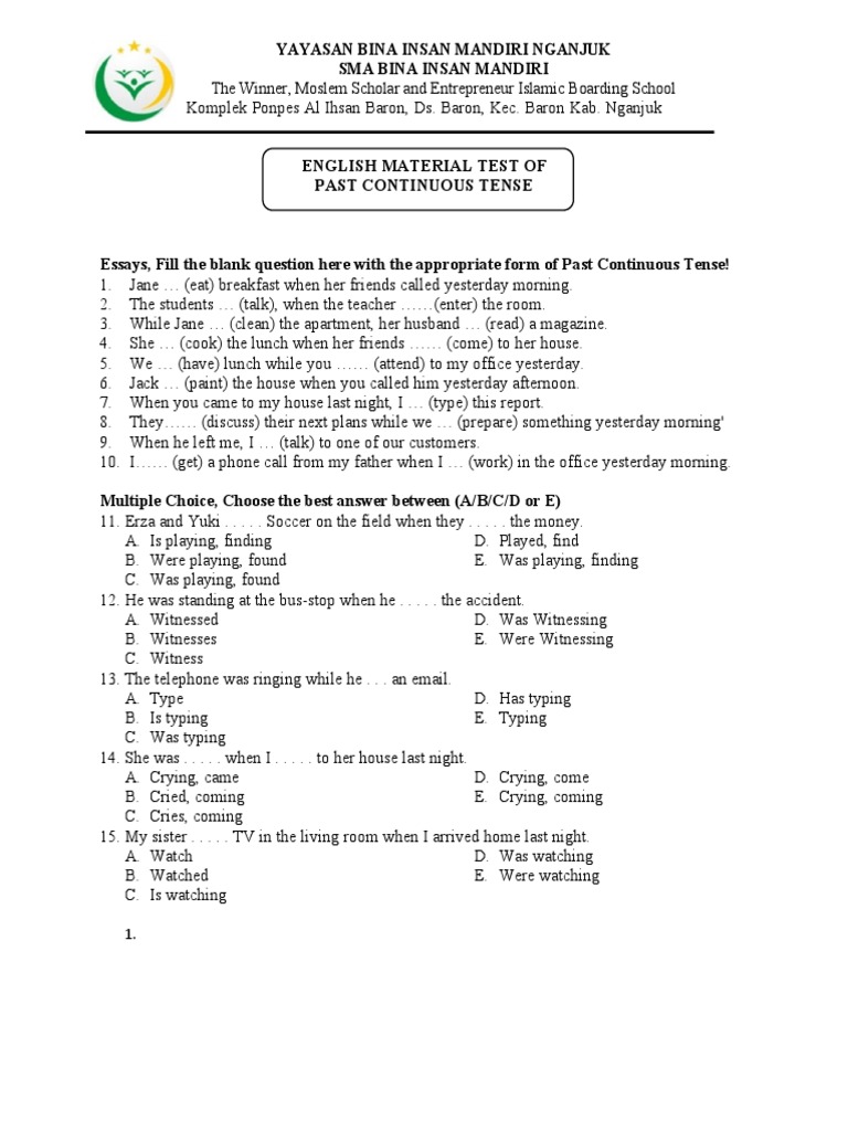 Past Continuous Tense Test | PDF