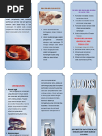 Leaflet Abortus | PDF