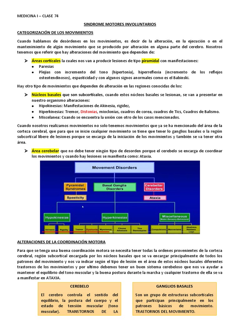 Trastornos del Movimiento y Ganglios Basales | PDF | Ganglios basales | Cerebro