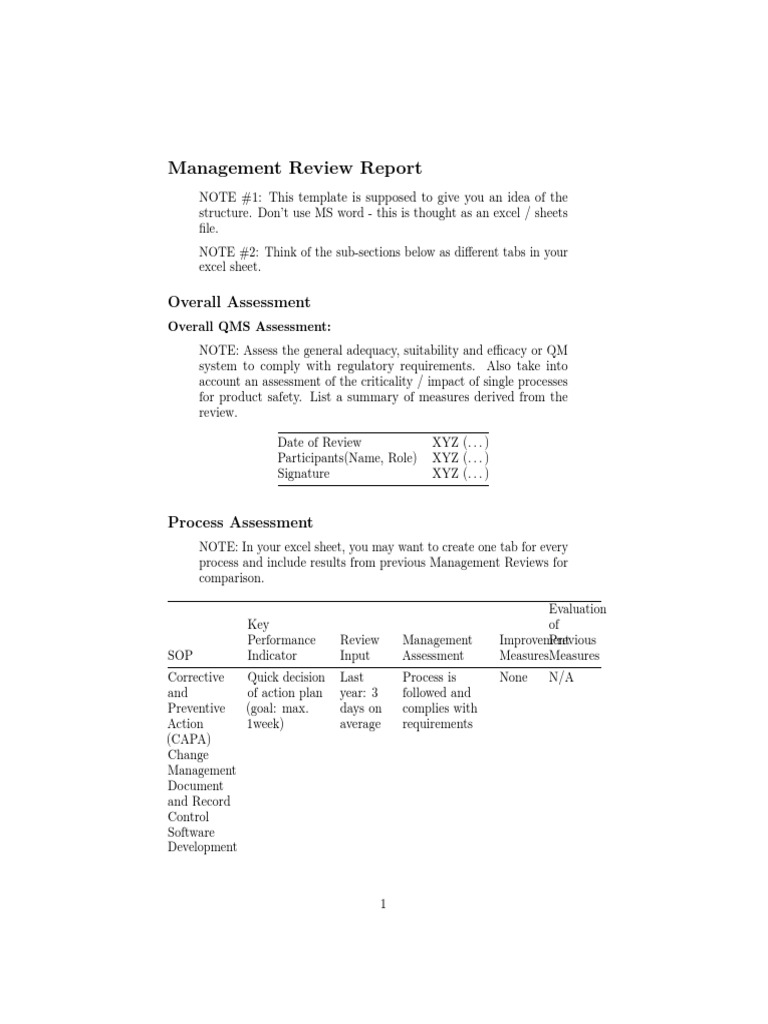 Management Review Report | PDF