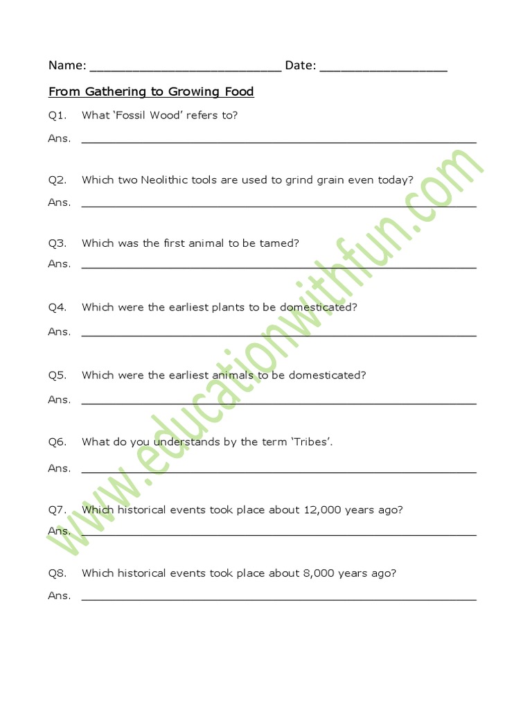 From Gathering To Growing Food Worksheet 2 | PDF