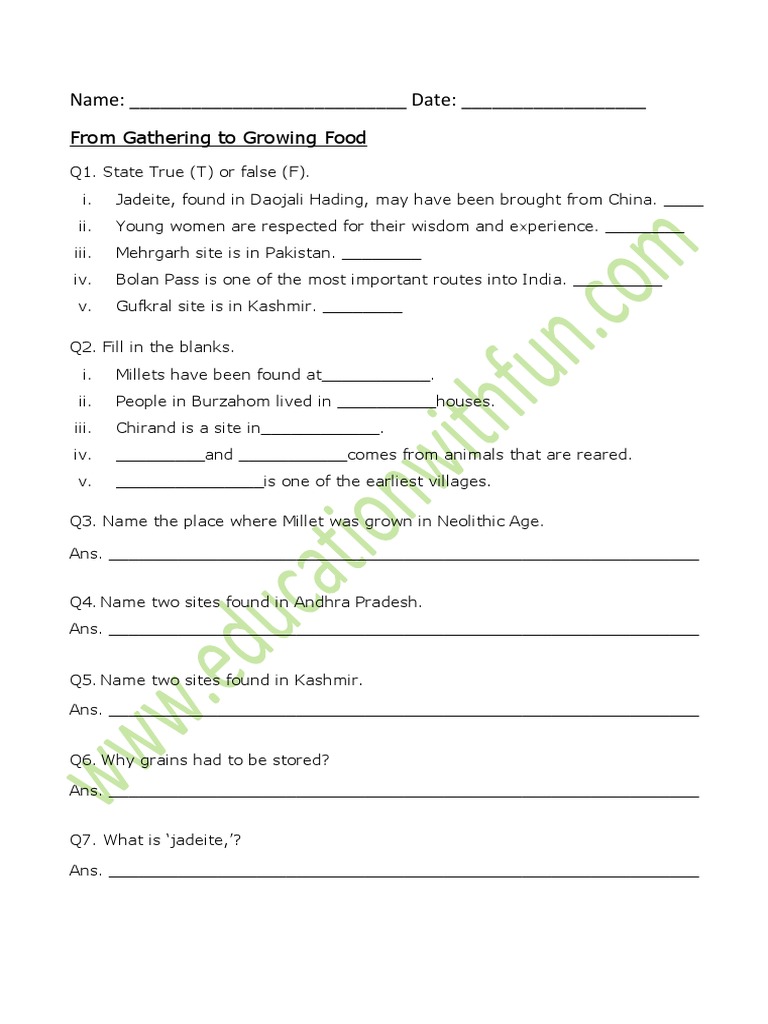 From Gathering To Growing Food Worksheet 1 | PDF | Social Science