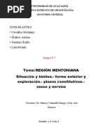 Musculo Mentoniano | PDF