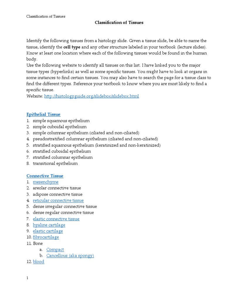 Lab - Classification of Tissues (1) - 1 | PDF | Epithelium | Tissue ...