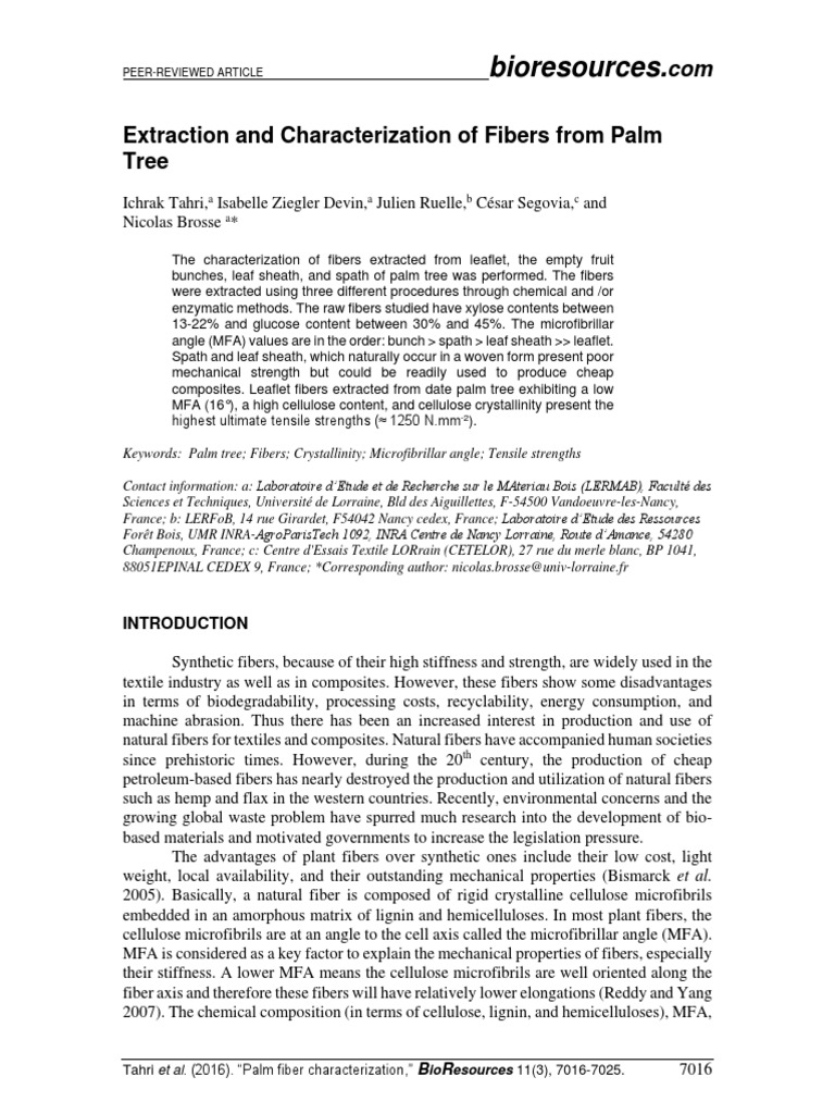 Extraction and Characterization of Palm Trees | PDF | Cellulose ...