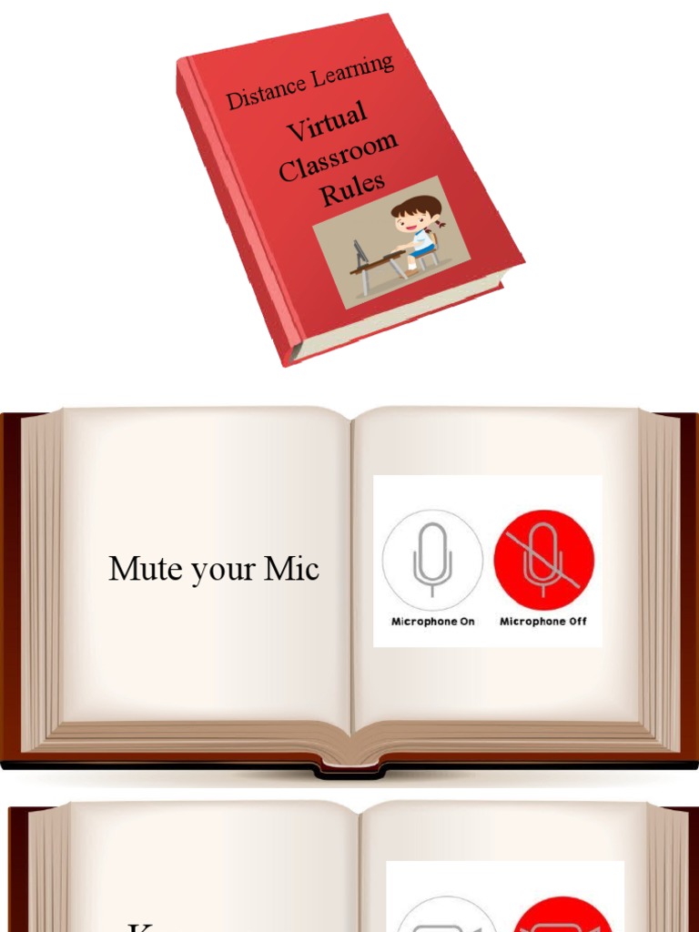 Virtual Classroom Rules for Distance Learning | PDF