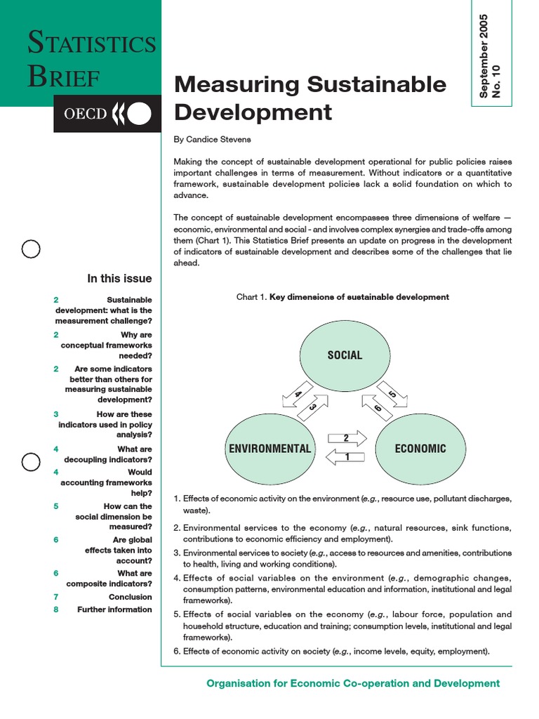 Sustainable Measurement | PDF | Sustainability | Sustainable Development