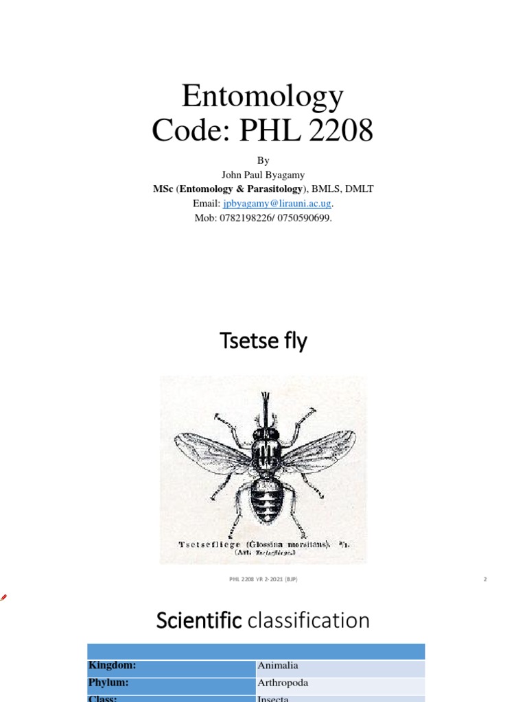 Tsetse Flies Lecture Notes | PDF | Pupa | Fly