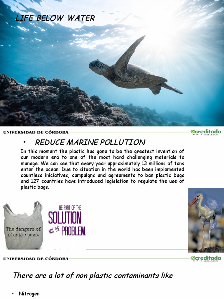Combatting Marine Pollution and Ecosystem Restoration | PDF