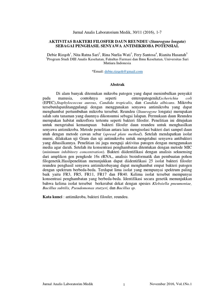 Aktivitas Bakteri Filosfer Daun Reundeu (Staurogyne Longata) Sebagai ...