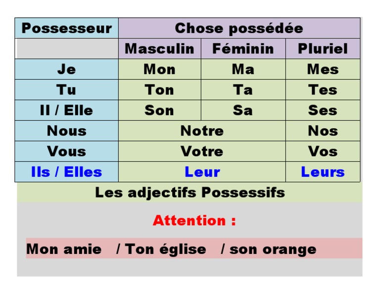 Adjectifs Possessifs en Français | PDF