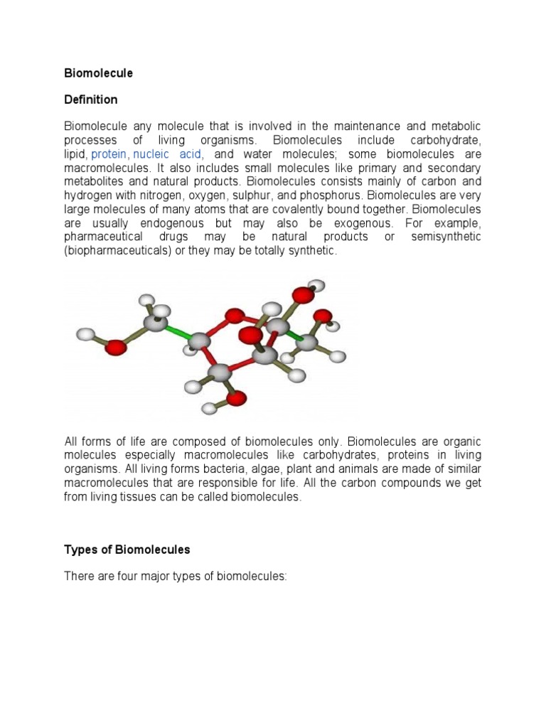 Protein Nucleic Acid: Biomolecule | PDF | Biomolecules | Dna