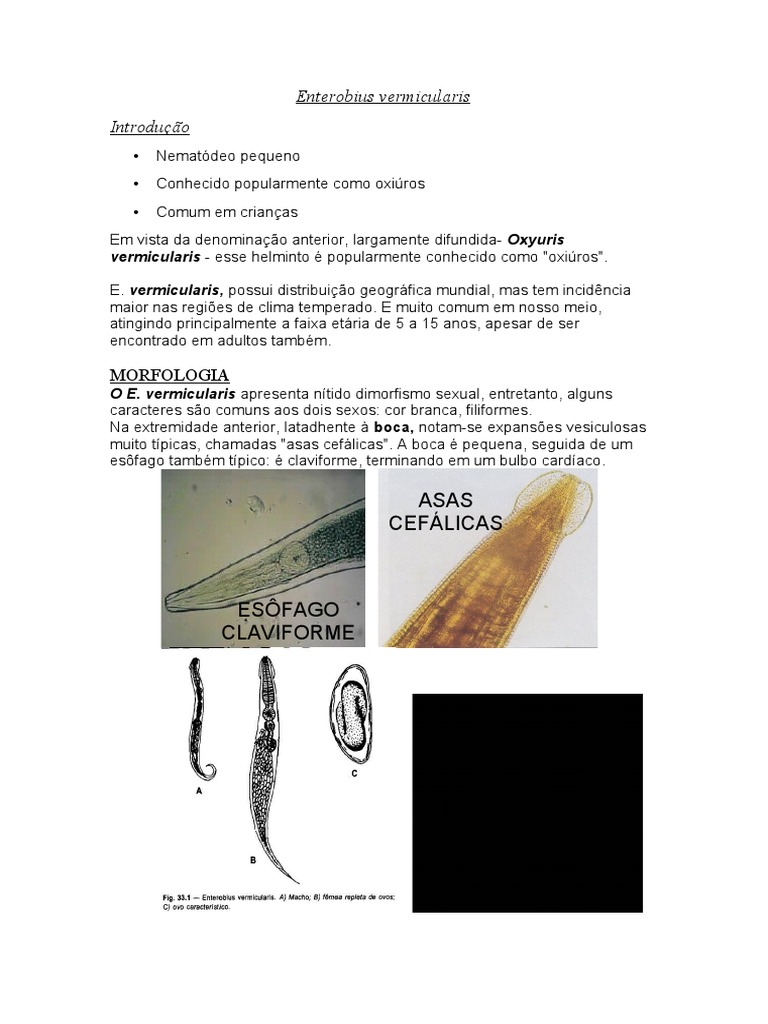 Enterobius Vermicularis | PDF | Especialidades médicas | Medicina Clínica