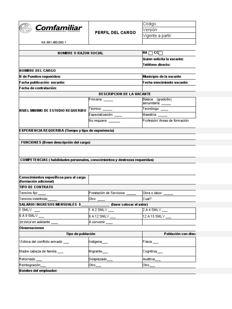 Plantilla PERFIL DEL CARGO | PDF