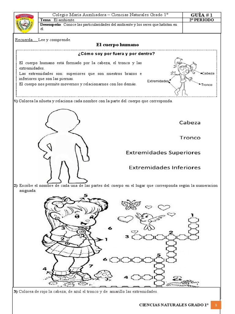 2 Periodo Naturales Grado Primero | PDF