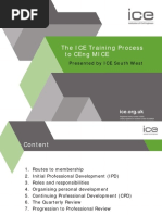 ICE Attributes | PDF | Engineering | Occupational Safety And Health