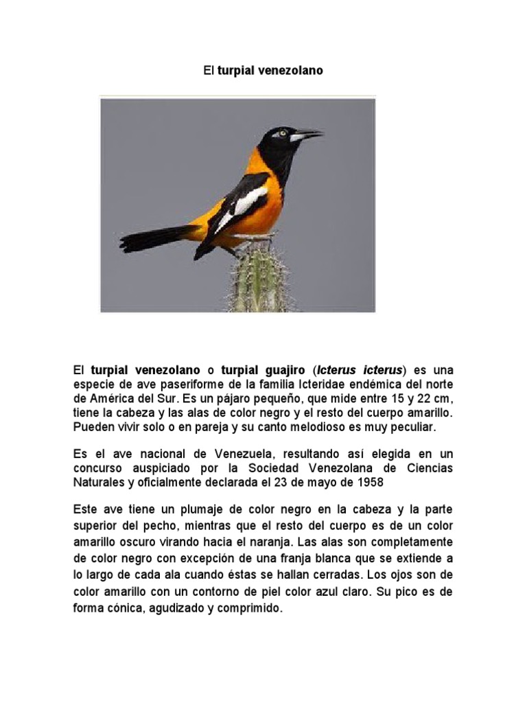 El Turpial Venezolano | PDF