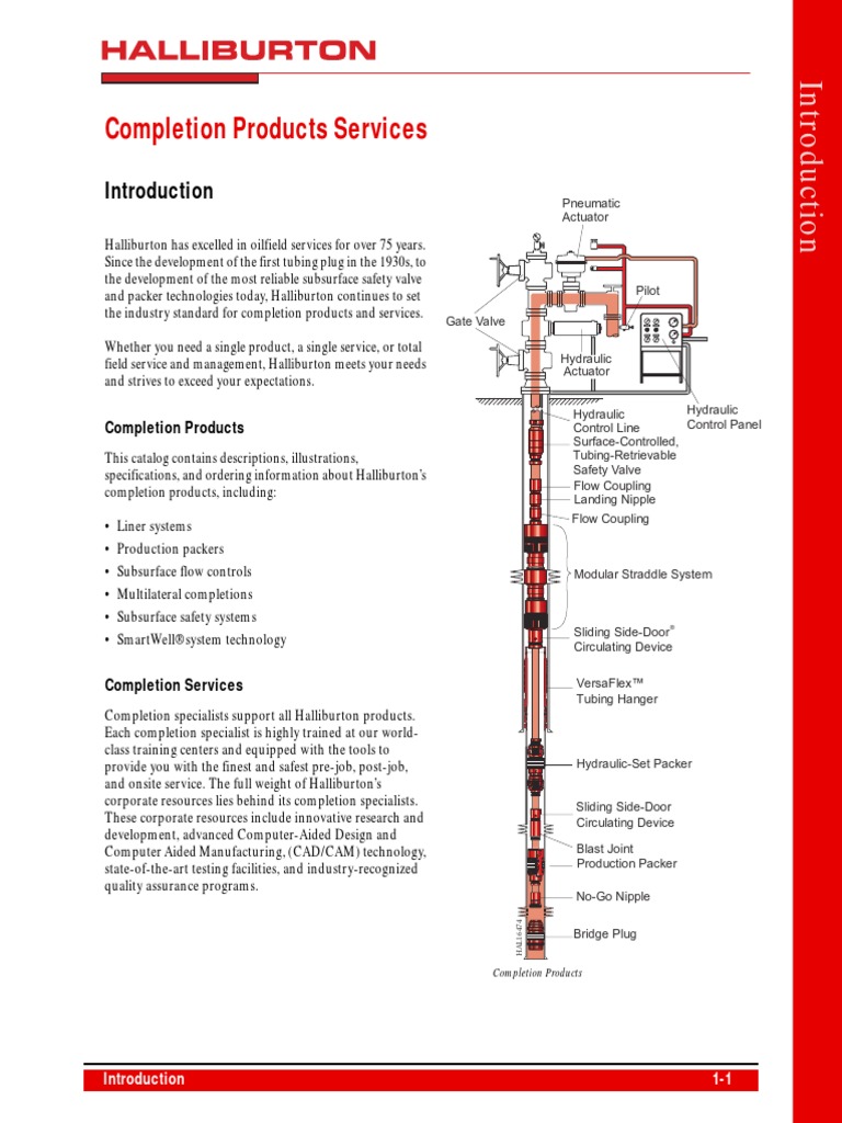 Halliburton Completion Products Services | PDF | Valve | Casing (Borehole)
