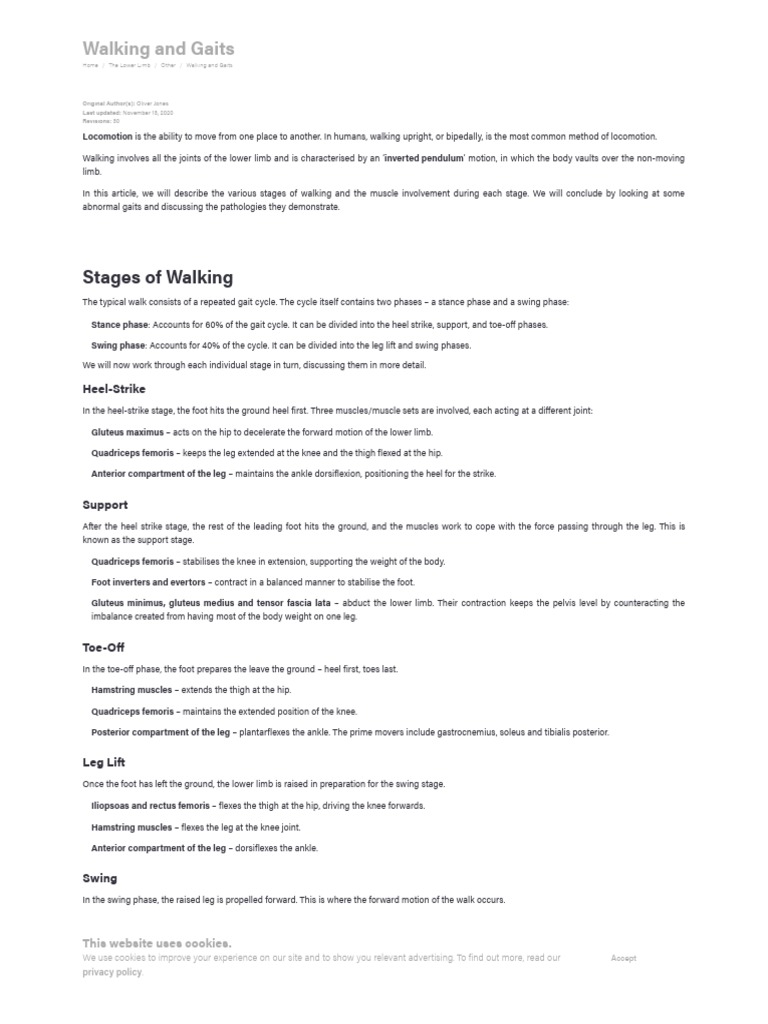 Walking and Gaits - Stages - TeachMeAnatomy | PDF | Human Leg | Walking