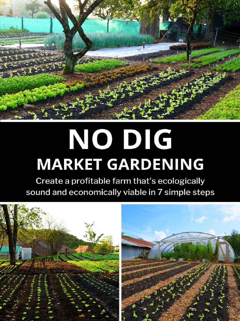No Dig Market Gardening Ebook | PDF | Soil | Compost