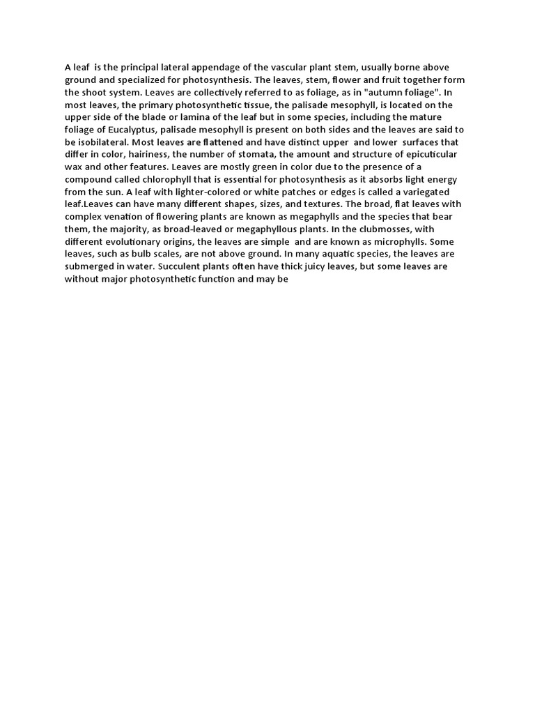 A Leaf Is The Principal Lateral Appendage of The Vascular Plant Stem | PDF