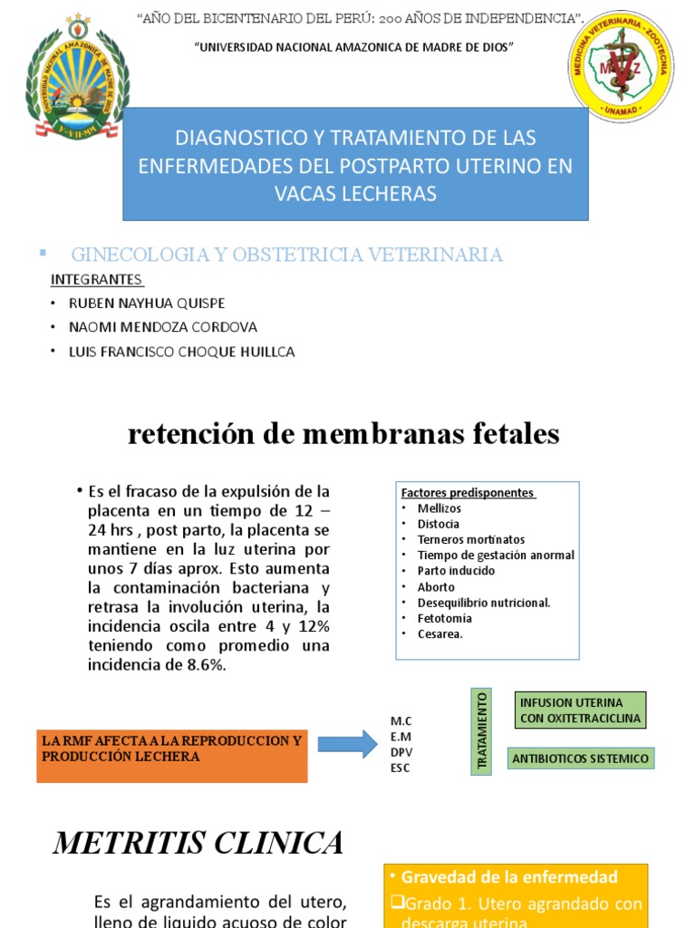 Metritis Clinica | PDF | Parto | Ultrasonido médico
