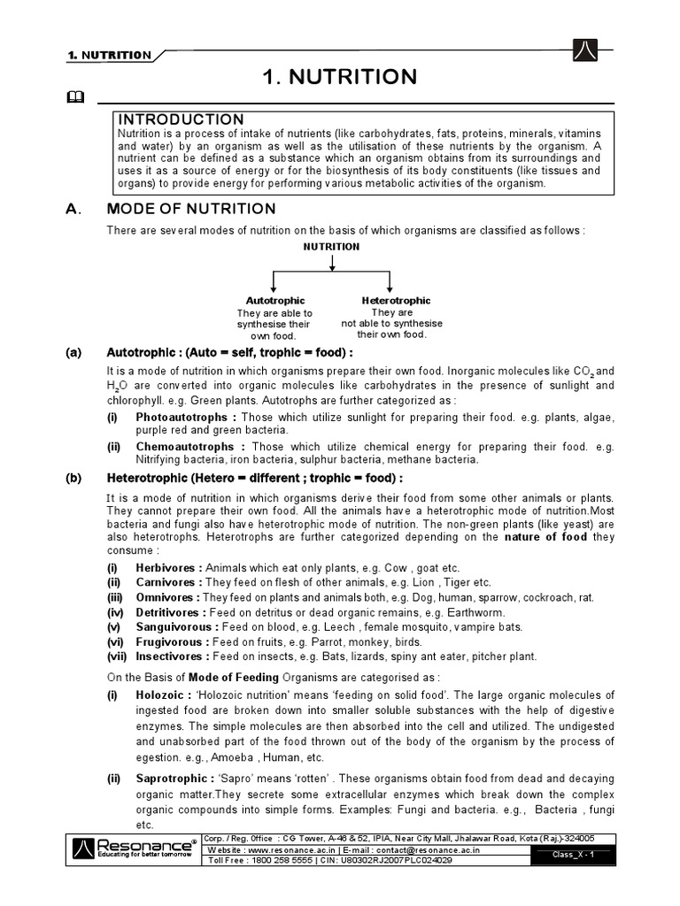 Modes of Nutrition Explained | PDF | Digestion | Pancreas