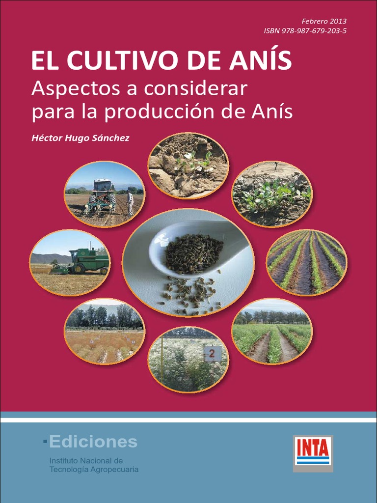 Cultivo de Anís: Guía de Producción | PDF | Siembra | Agricultura