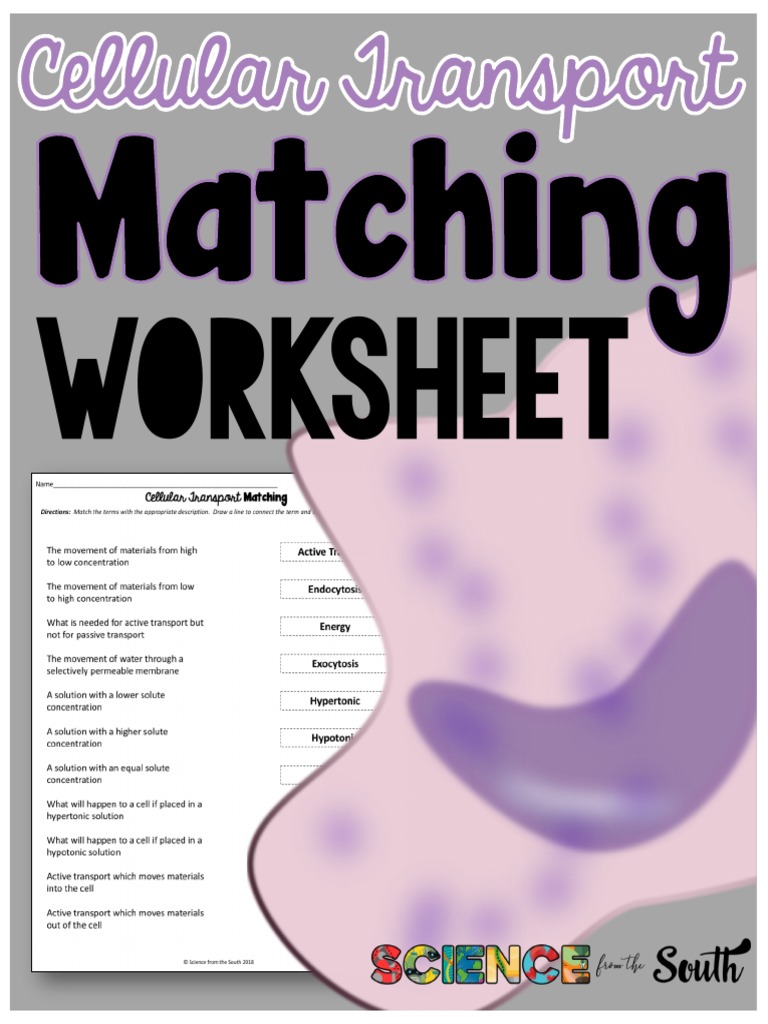 CellTransportMatchingWorksheetforRevieworAssessment 1 | PDF | Osmosis ...