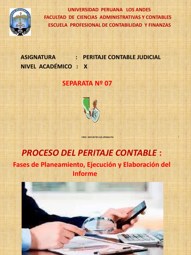 Separata 7 - Proceso Del Peritaje | PDF | Contabilidad | Auditoría