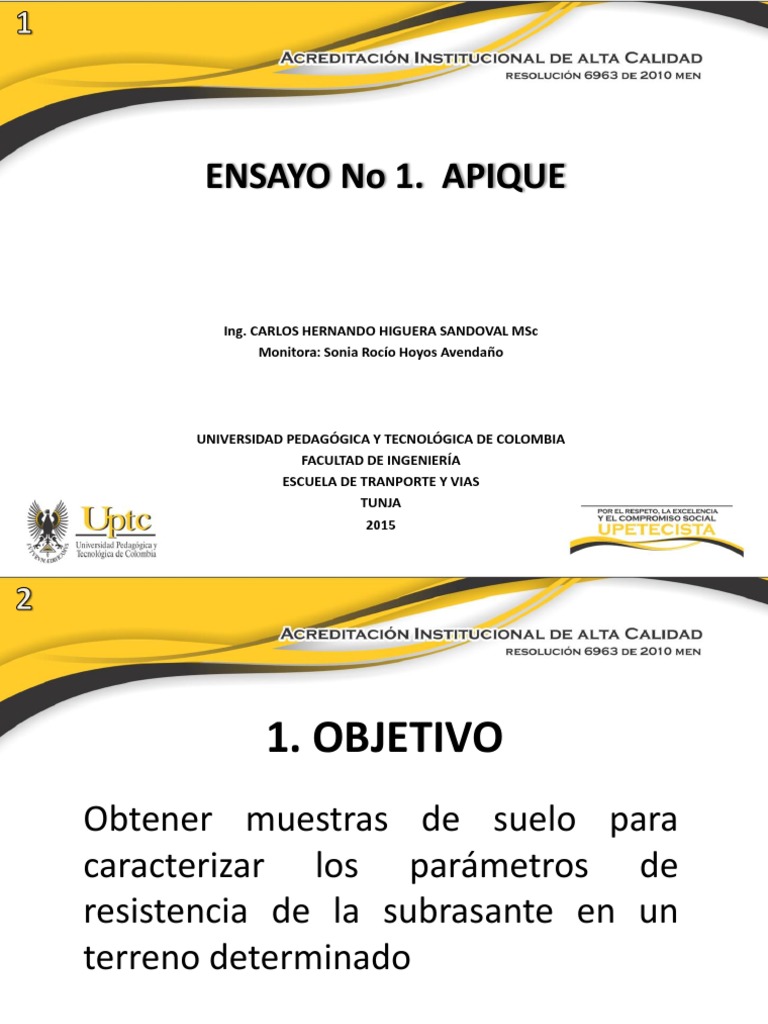Apique | PDF