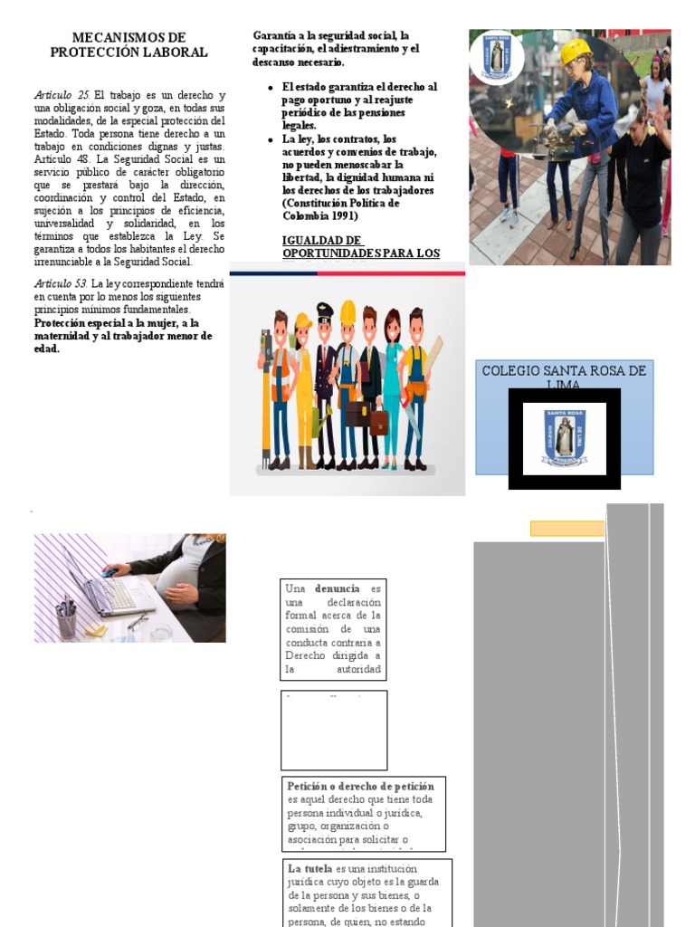 Mecanismos de Protección Laboral | PDF | Derecho laboral | Gobierno