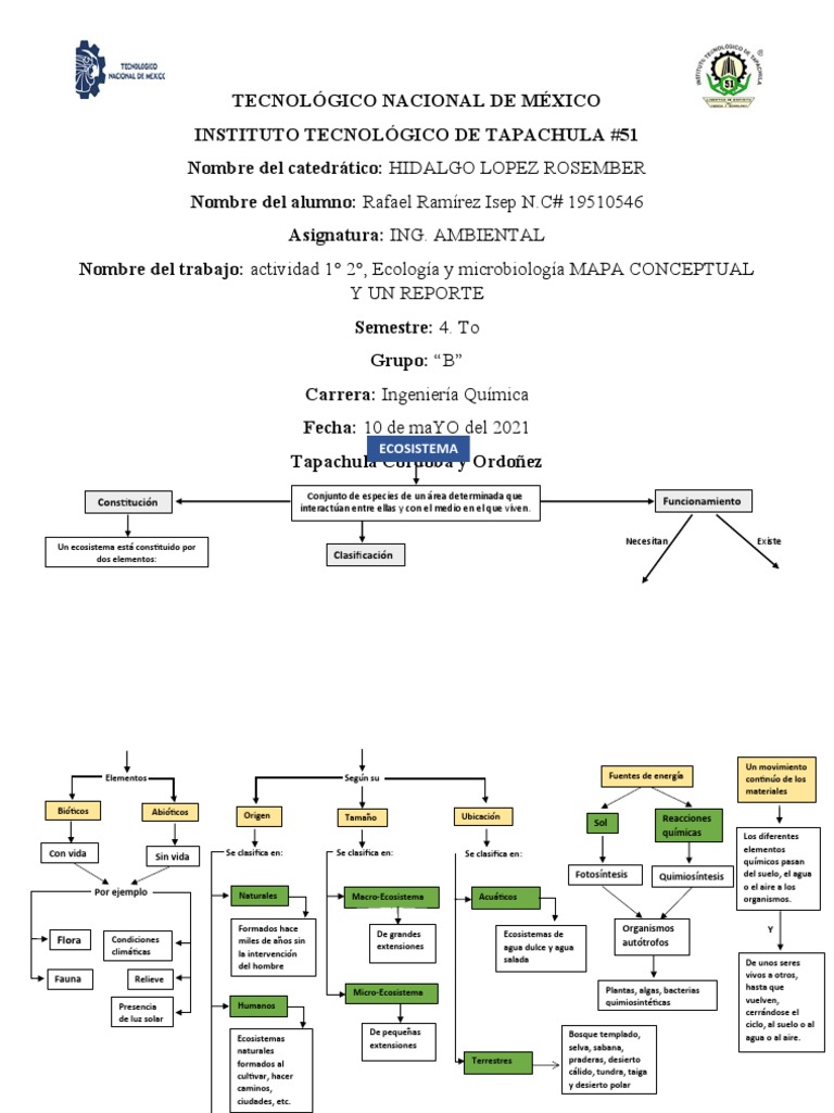 Mapa Conceptual de Ecosistema | Descargar gratis PDF | Ecosistema | Sustentabilidad