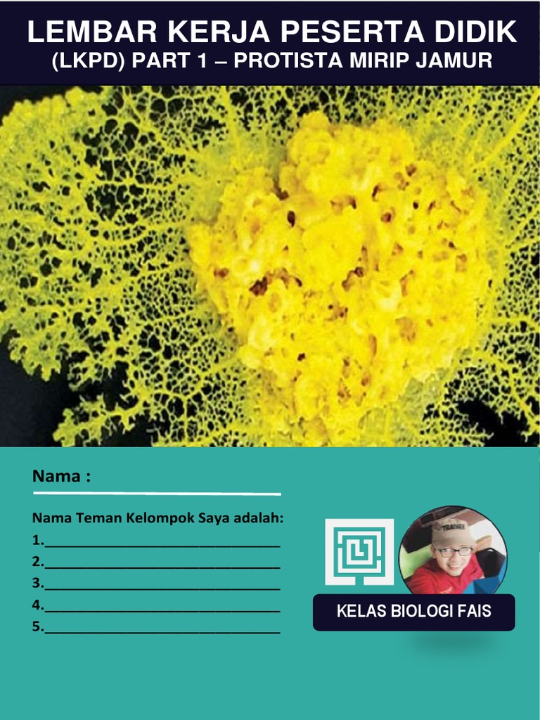 01.3 LKPD PROTISTA MIRIP JAMUR 2020 and KEY FAISAL IMAM P | PDF